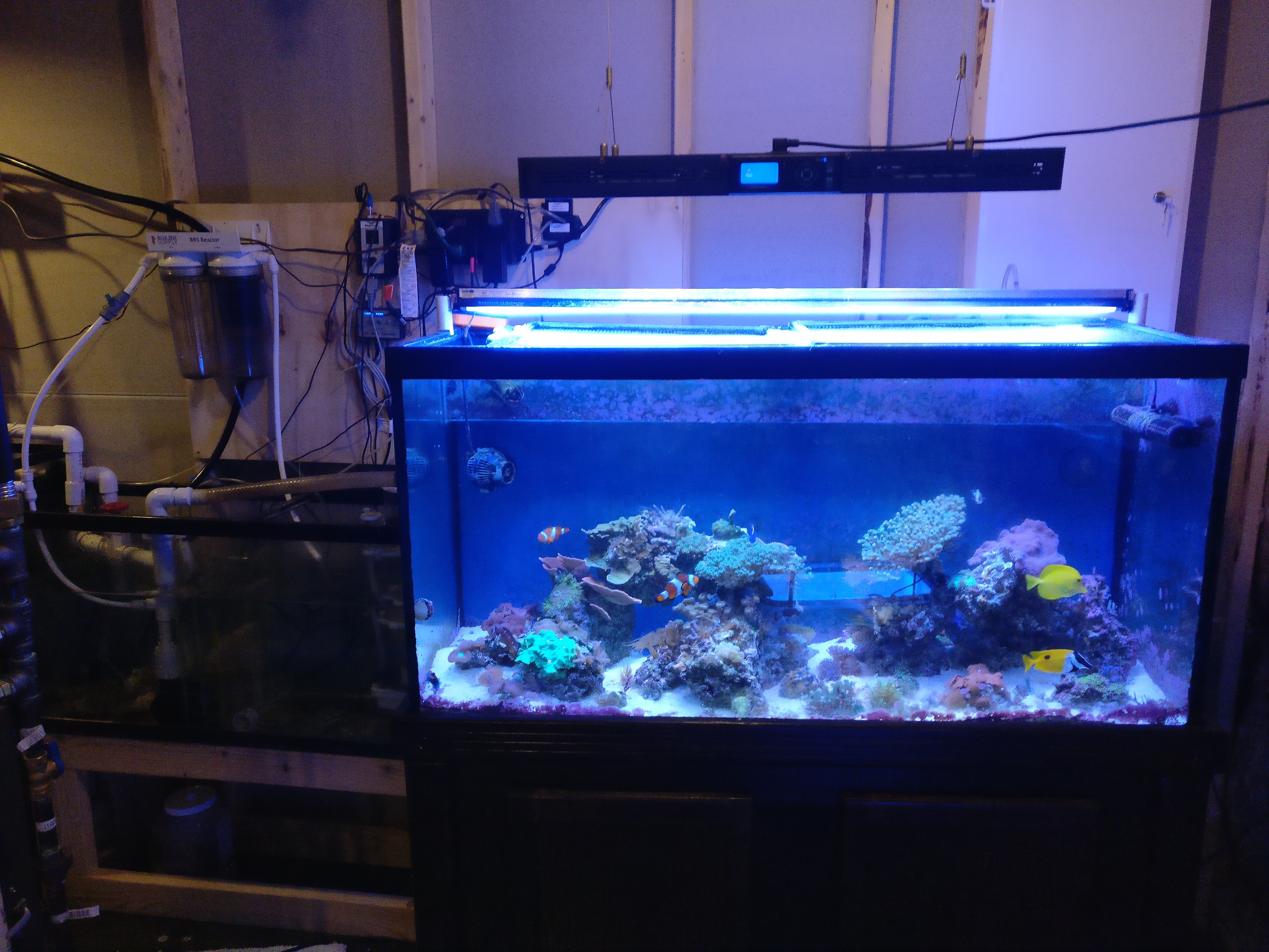 Going to next level of Aquarium Automation...who's with me? - Share ...